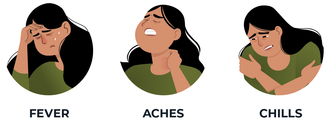 About the Flu and Common Flu Symptoms | XOFLUZA® (baloxavir marboxil)